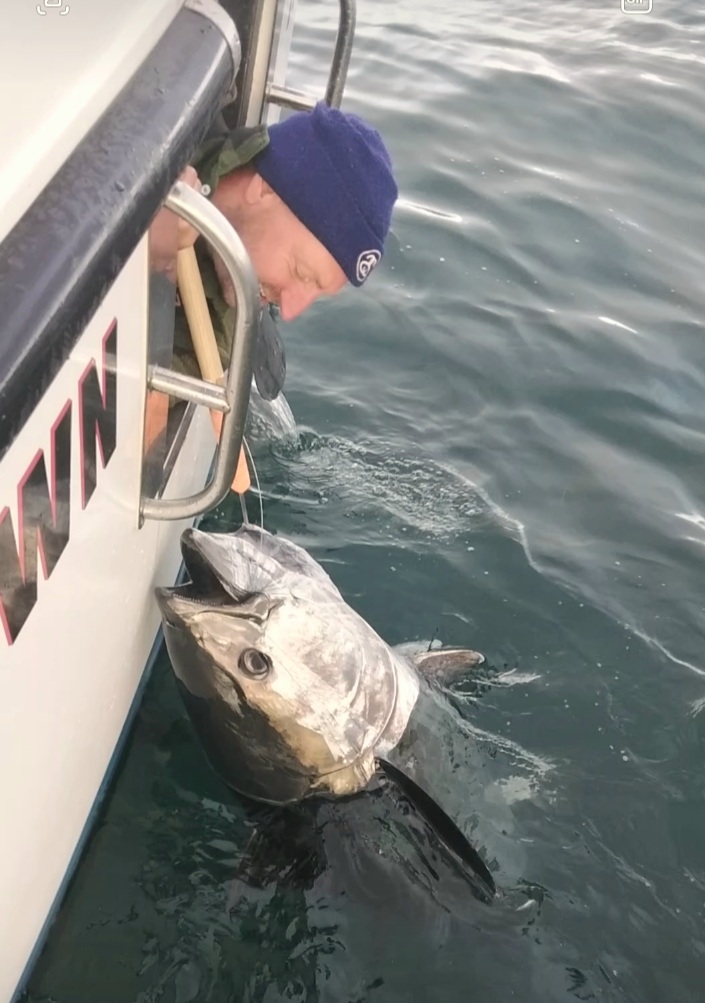 Bluefin Tuna Fishing